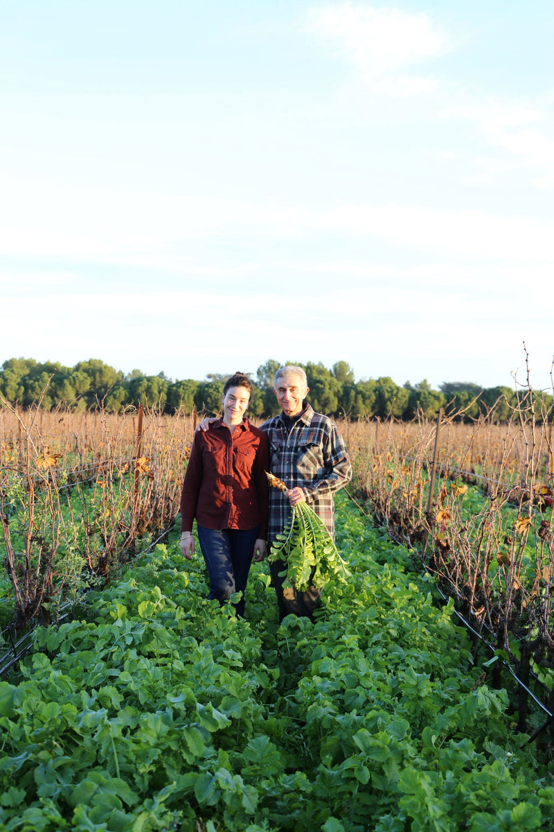 Le Radis Chinois, ami de la vigne – Chateau de Nages - Domaine Gassier